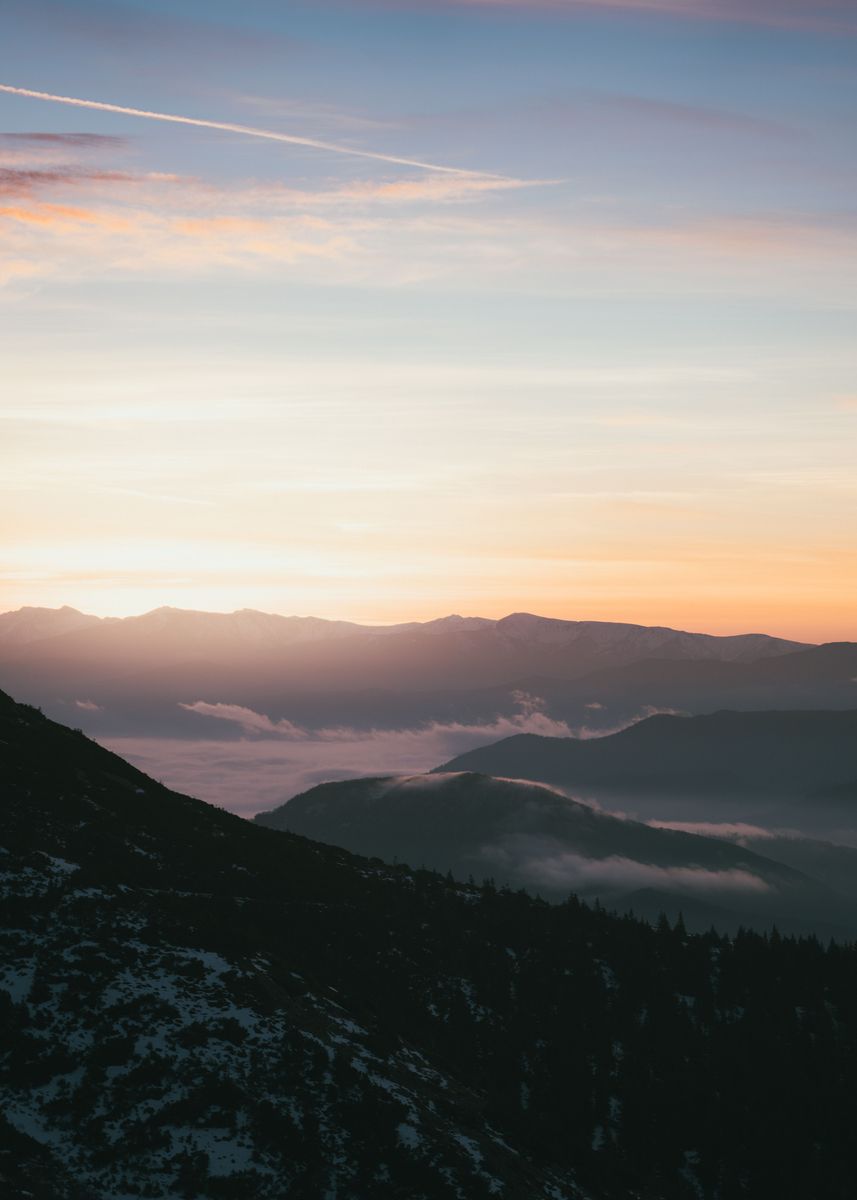 'First Sunshine' Poster, picture, metal print, paint by 19thpic | Displate