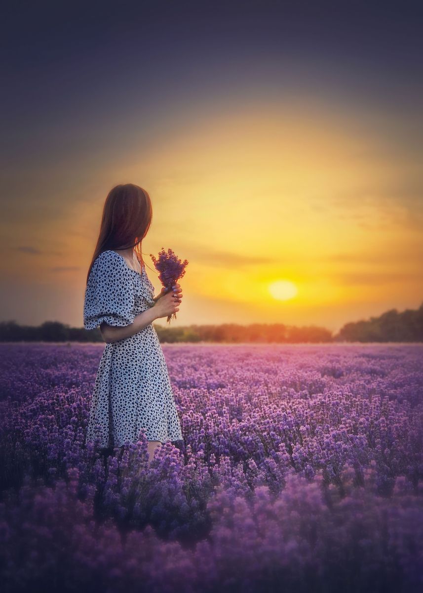 'woman lavender sunset' Poster, picture, metal print, paint by ...