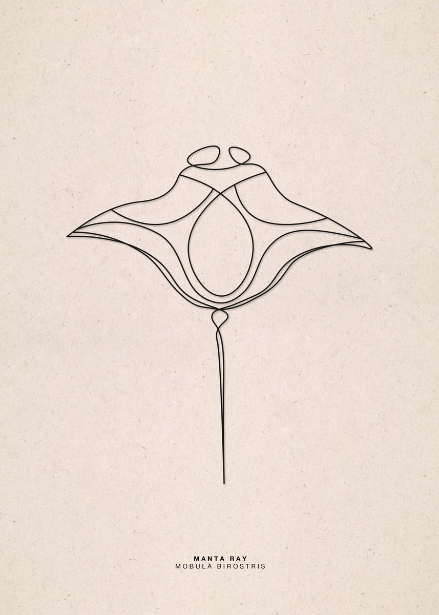 'line art manta ray' Poster, picture, metal print, paint by Linda ...