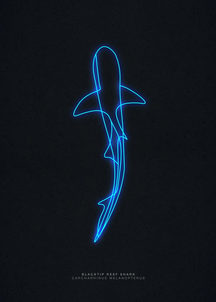 'Neon reef shark' Poster, picture, metal print, paint by Linda Rosenau ...
