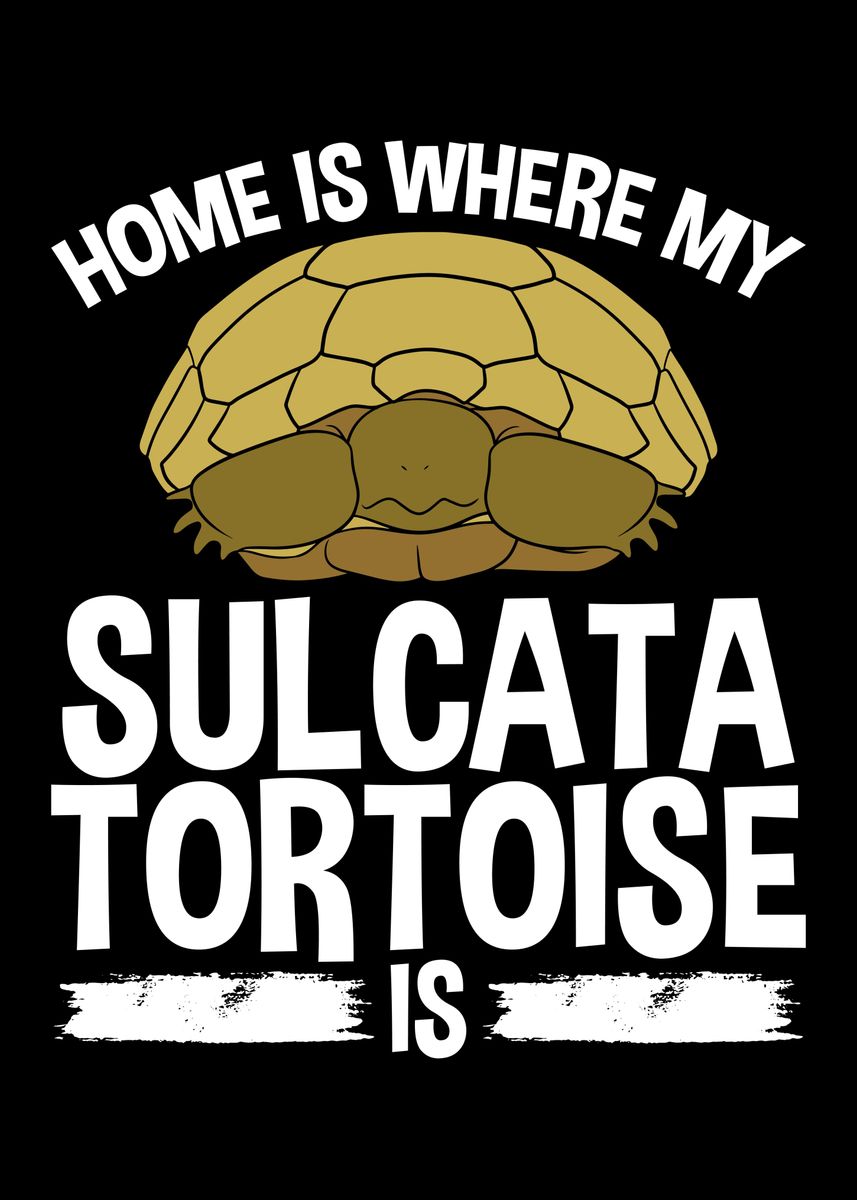'Sulcata Tortoise Lover' Poster, picture, metal print, paint by Fabian ...
