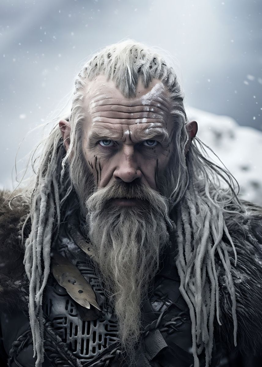 'Viking Warrior' Poster, picture, metal print, paint by Domino nab ...