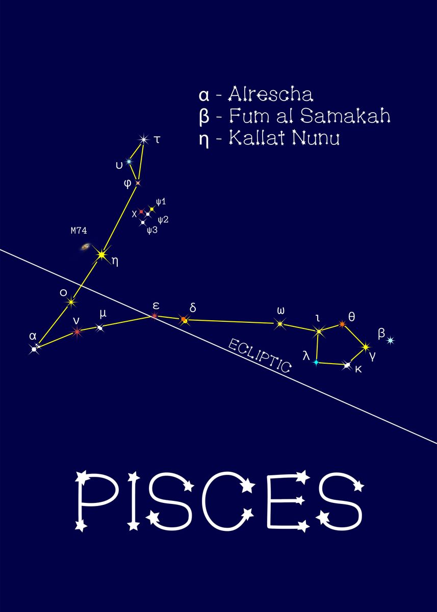 'Zodiac Stars Pisces' Poster, picture, metal print, paint by Art ...