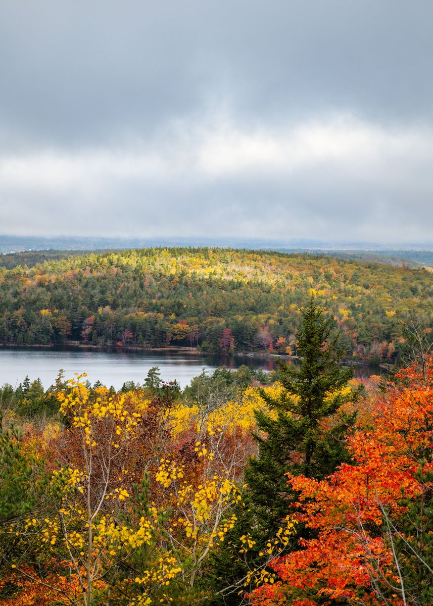 'Acadia in the Fall' Poster, picture, metal print, paint by Done4 Today | Displate
