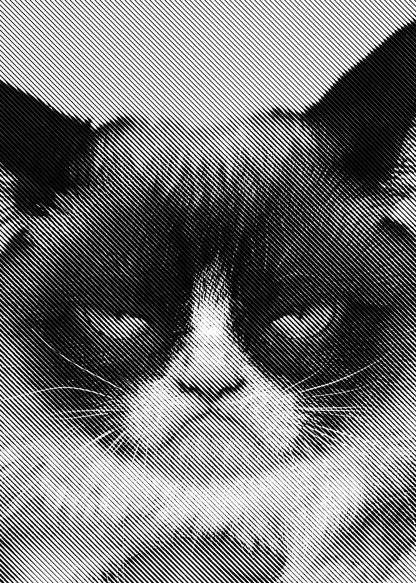 'grumpy cat' Poster, picture, metal print, paint by Bestselling cool ...