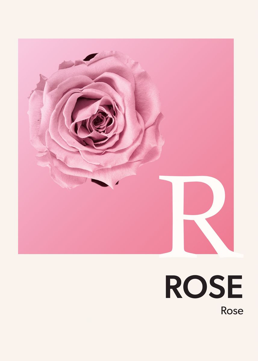 'Color Alphabet Rose R' Poster, picture, metal print, paint by WalSmurf ...