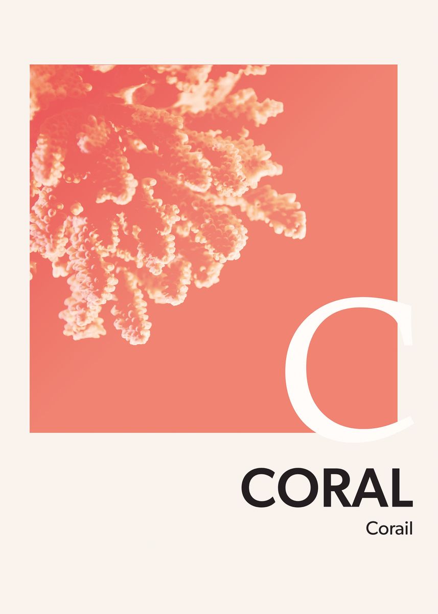 'Color Alphabet Coral C' Poster, picture, metal print, paint by ...