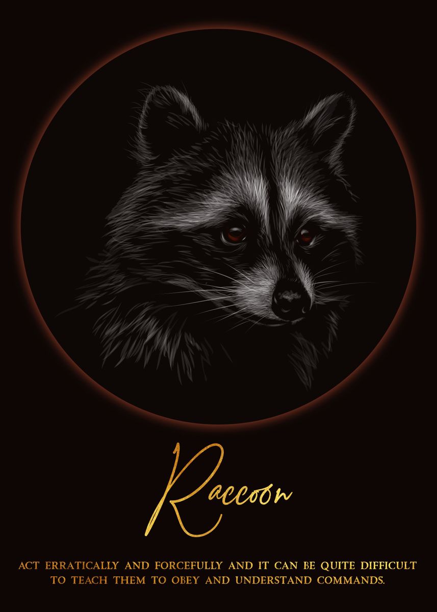 'Raccoon' Poster, picture, metal print, paint by Plasse Pete | Displate