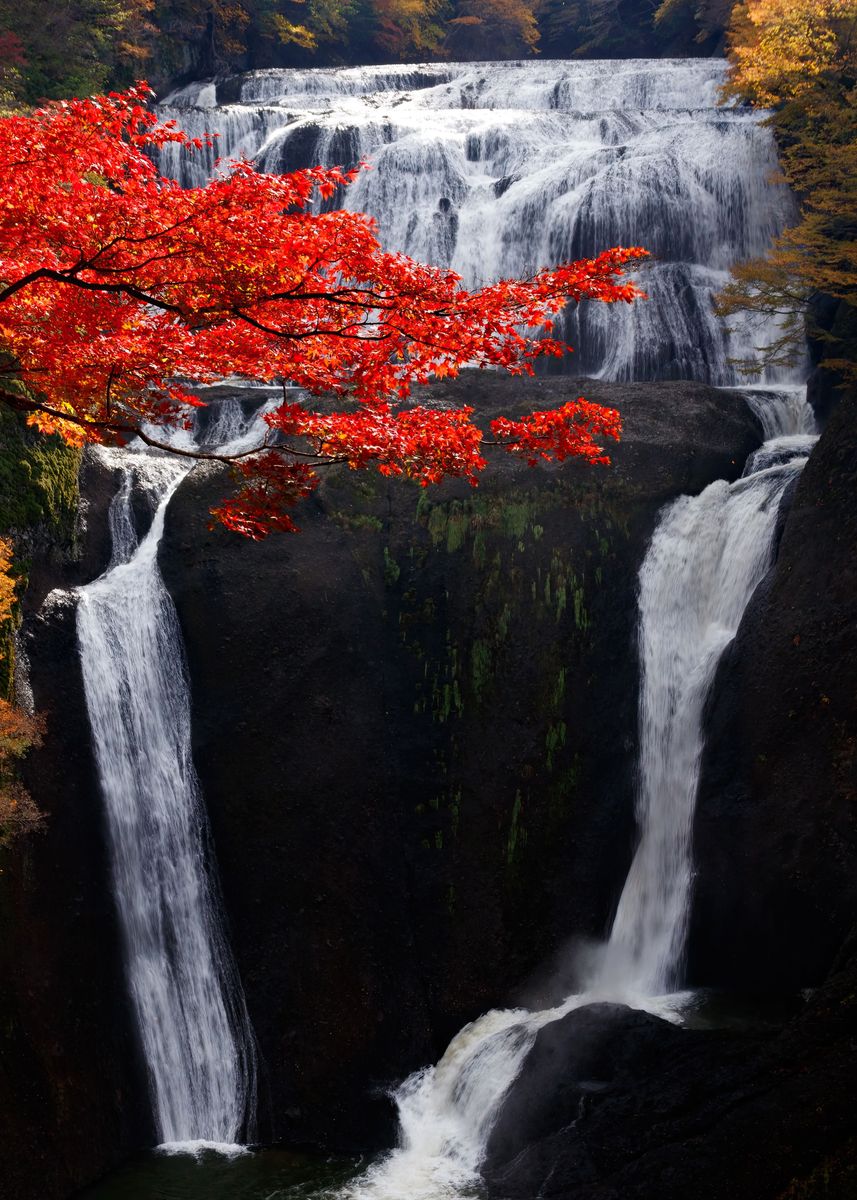 'beautiful waterfall' Poster, picture, metal print, paint by tomahoc ...