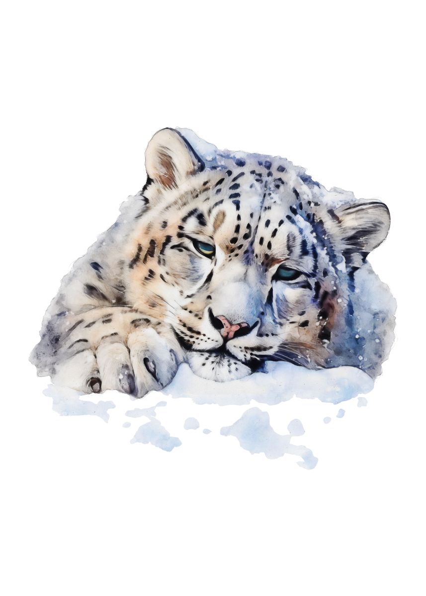 'Snow Leopard Watercolor' Poster, picture, metal print, paint by ...