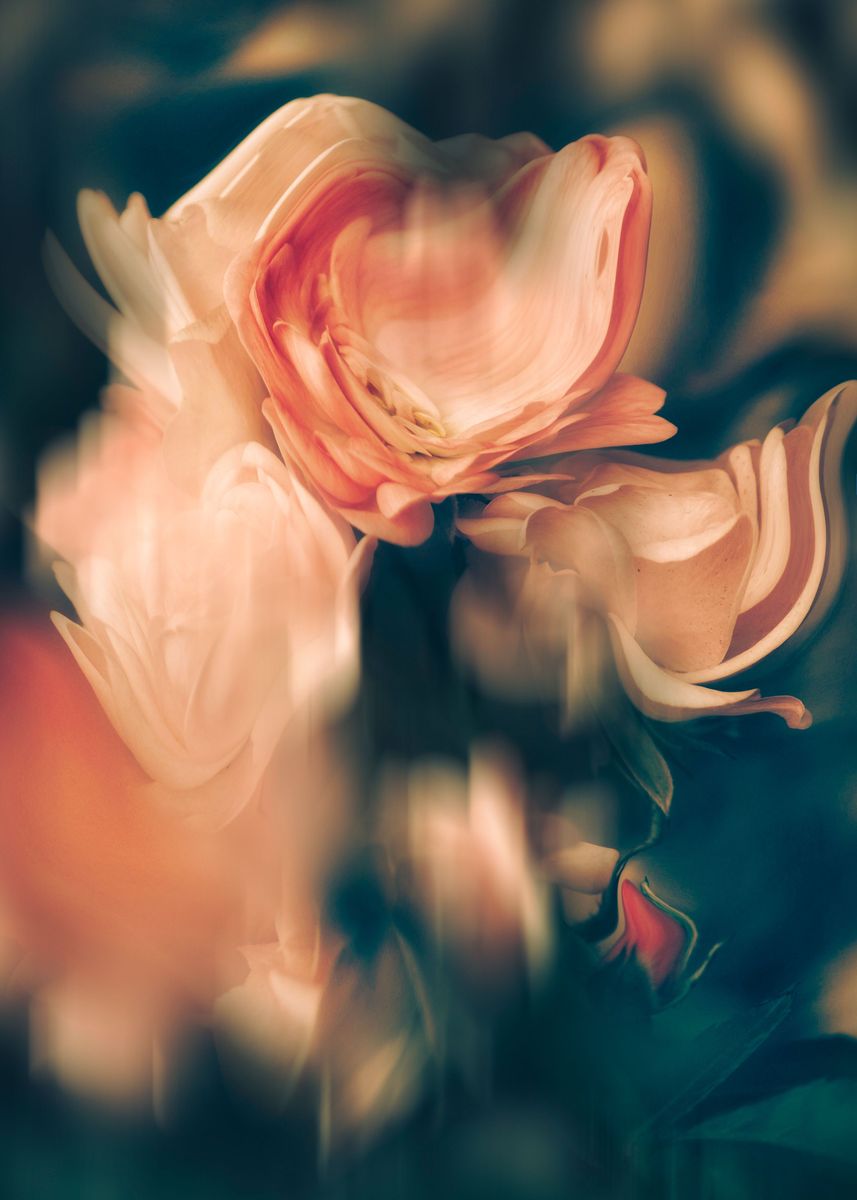 'Abstract bouquet' Poster, picture, metal print, paint by Larisa ...