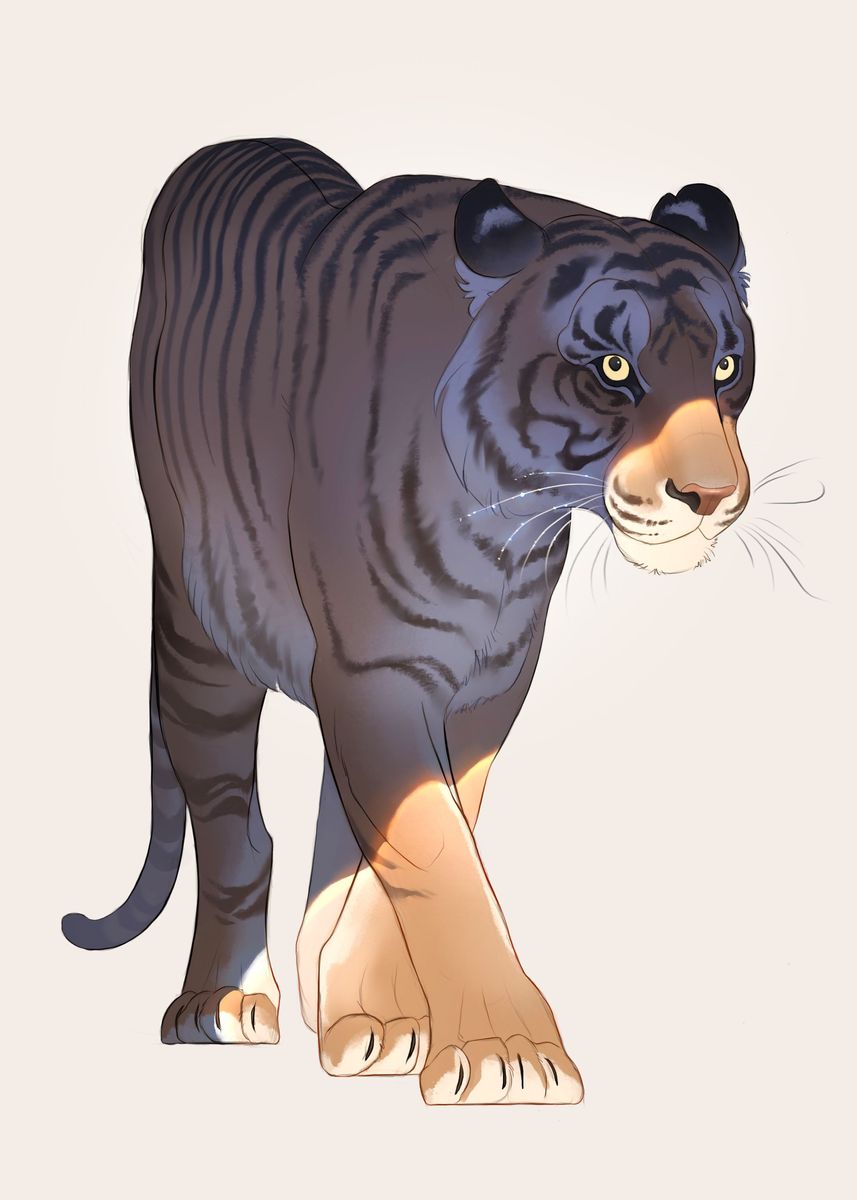 'Shadow Tiger' Poster, picture, metal print, paint by Maya | Displate