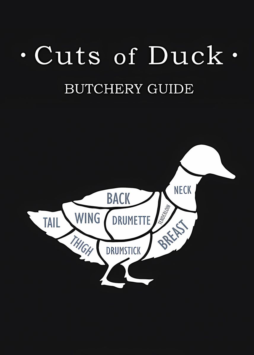 'anatomy of mischief goose' Poster, picture, metal print, paint by Alex ...