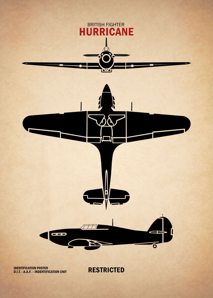 'Hurricane Identification' Poster, picture, metal print, paint by ...