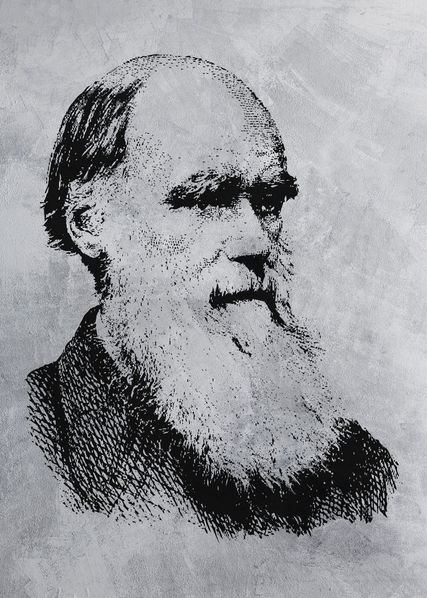 'darwin stencil art ' Poster, picture, metal print, paint by ...