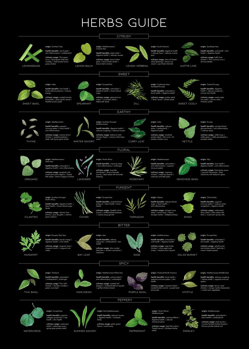 'Essential Herbs Guide' Poster, picture, metal print, paint by ...