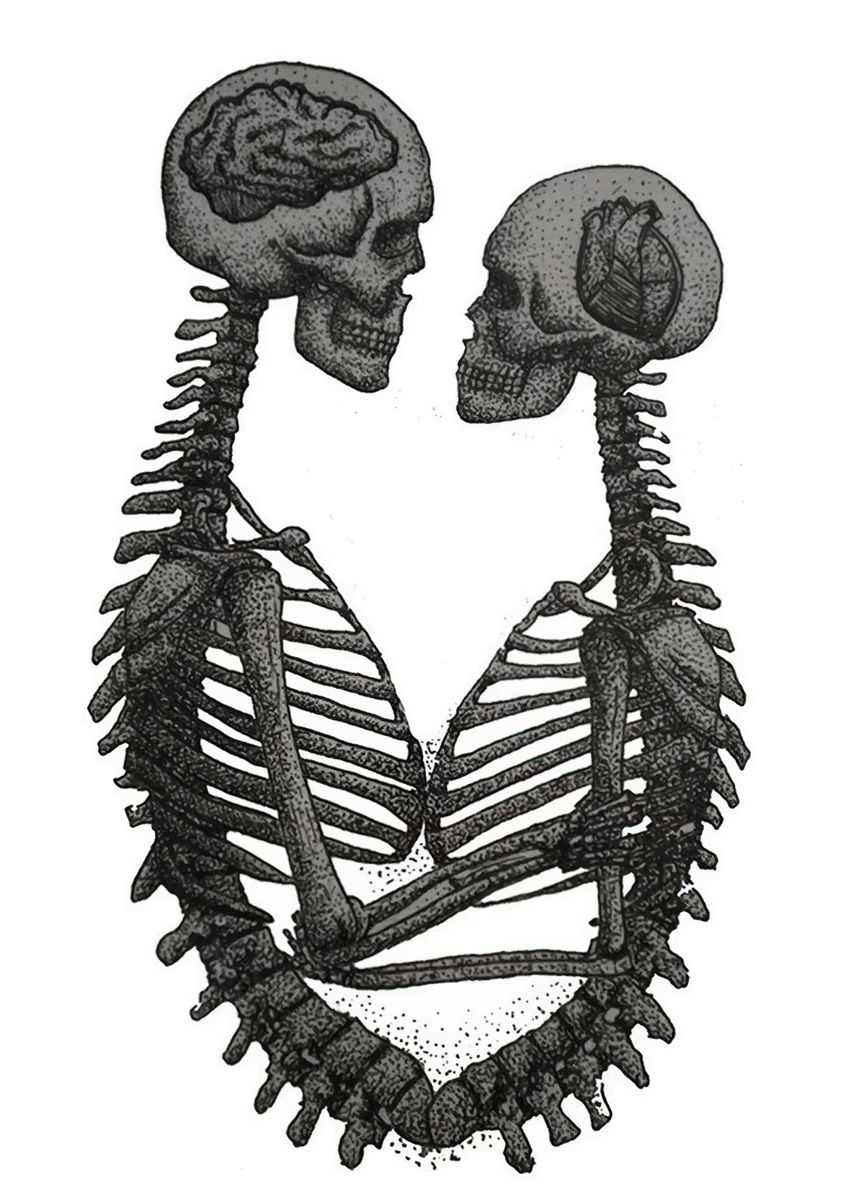 'fused skull minimalist' Poster, picture, metal print, paint by Aksara ...