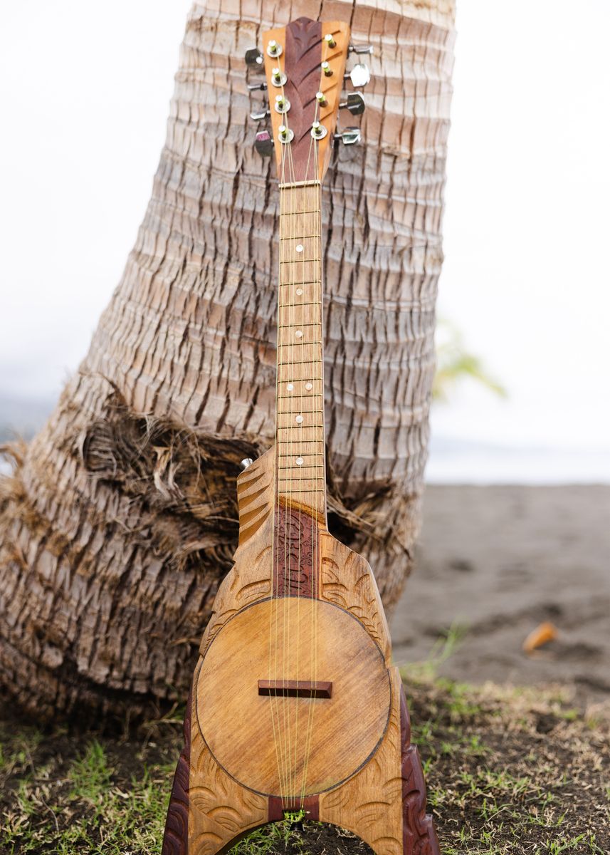 'Uturere on coconut tree' Poster, picture, metal print, paint by Tahiti ...