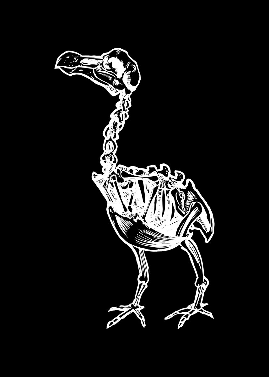 'Dodo Skeleton Bird Design' Poster, picture, metal print, paint by ...