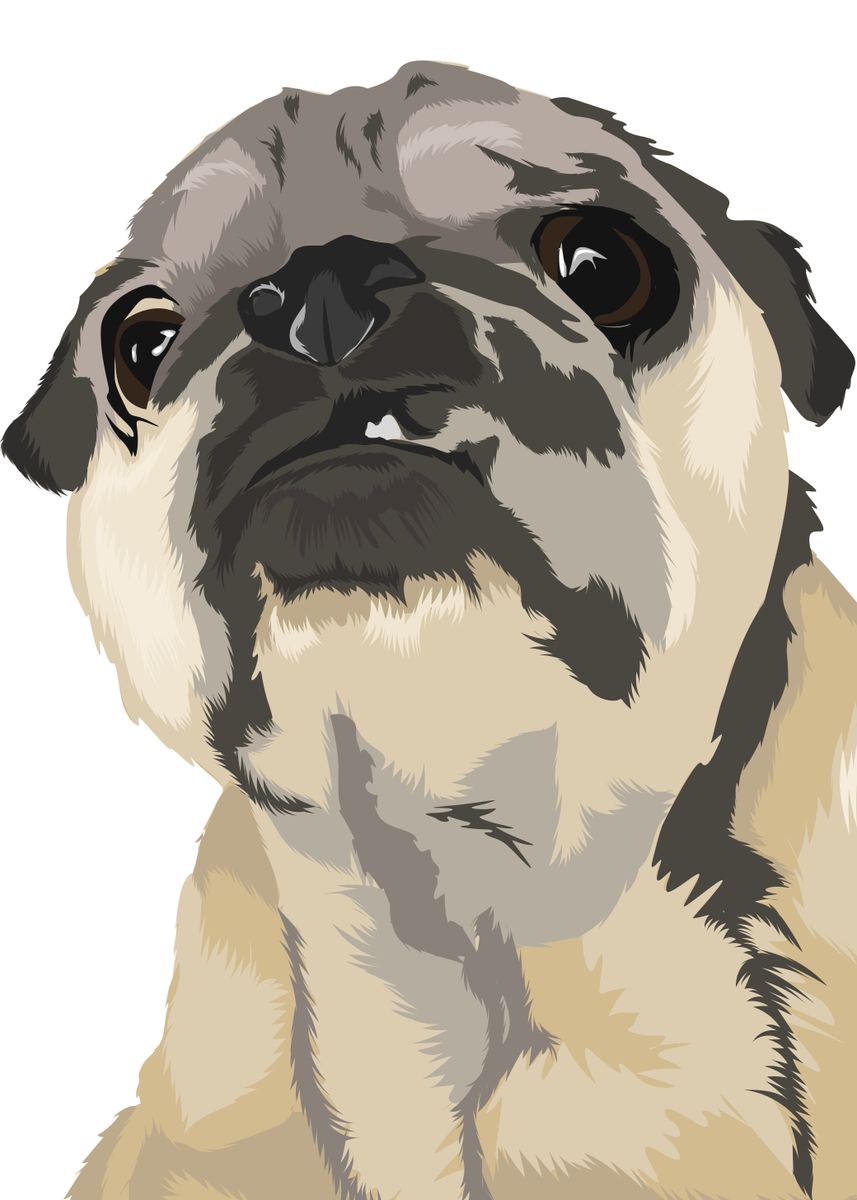 'Old Puggy Bear' Poster, picture, metal print, paint by Christian ...