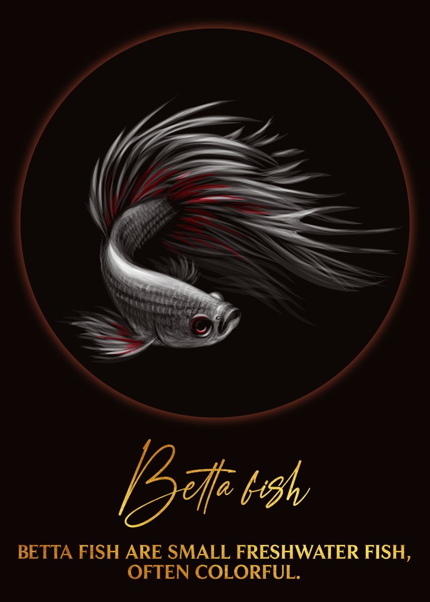 'Betta fish' Poster, picture, metal print, paint by Plasse Pete | Displate