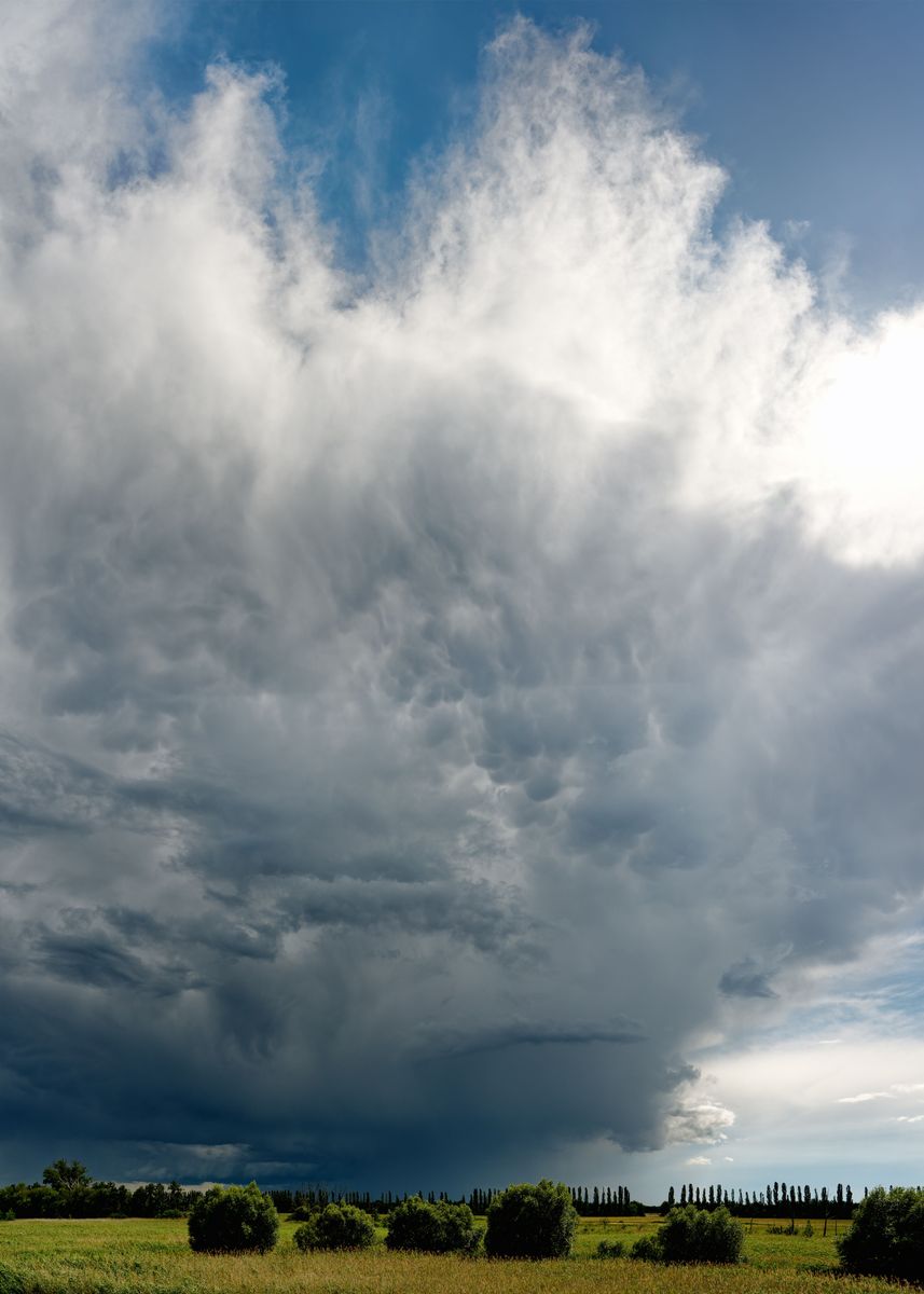 'Large Thundercloud' Poster, picture, metal print, paint by Ralf ...