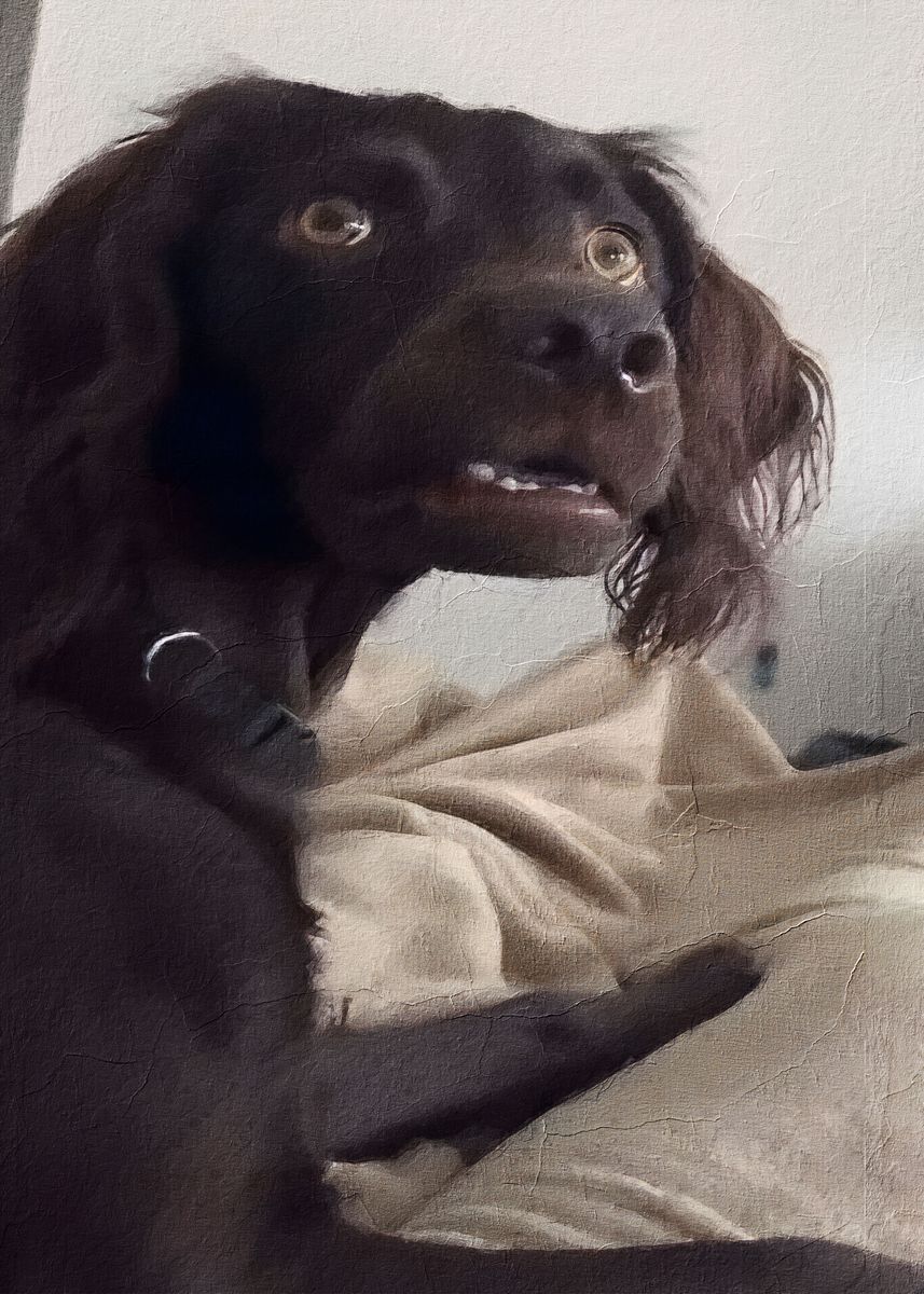 'Confused dog Meme' Poster, picture, metal print, paint by Meme Daily ...