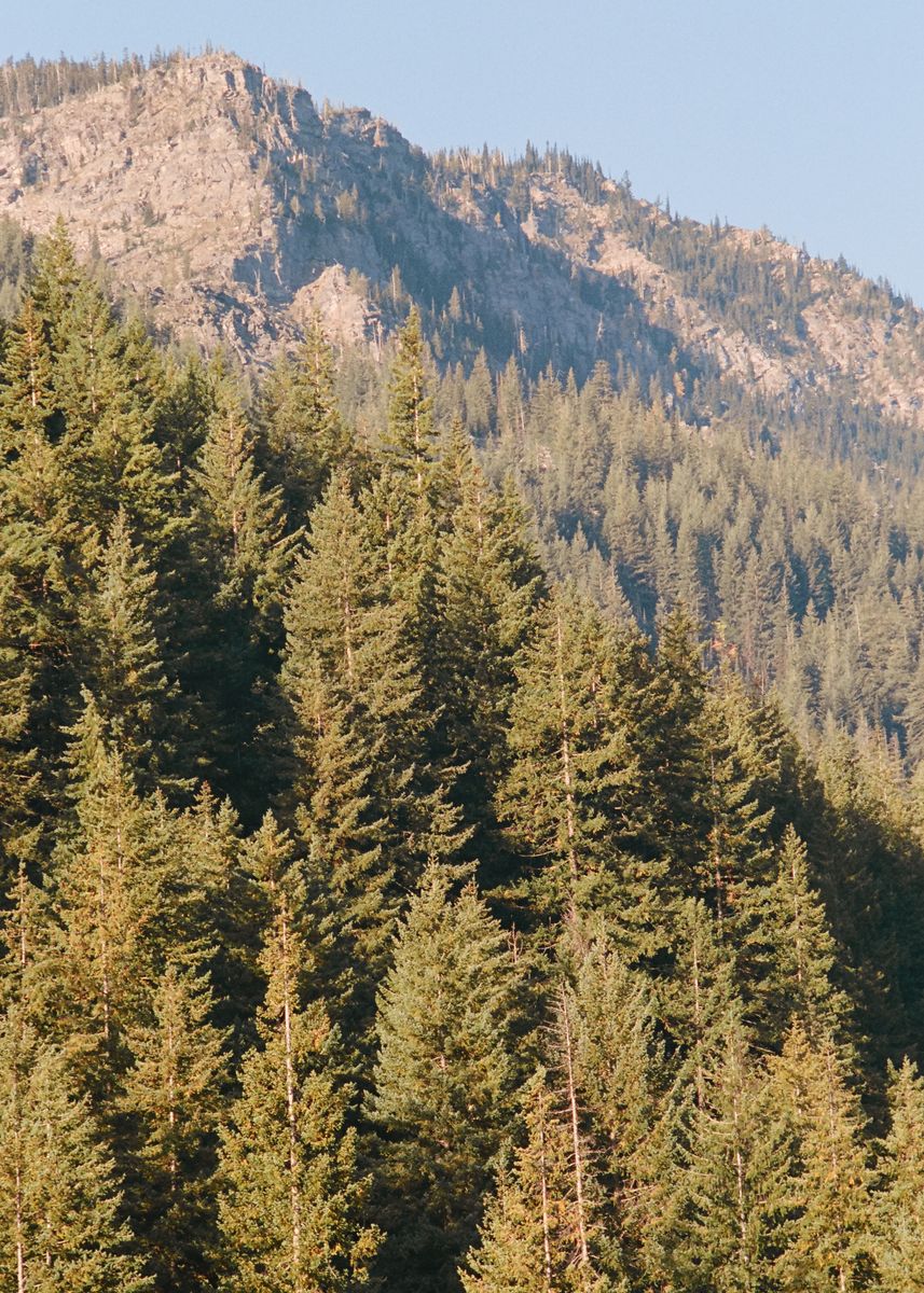 'PNW Mountain Landscape' Poster, picture, metal print, paint by anthony ...