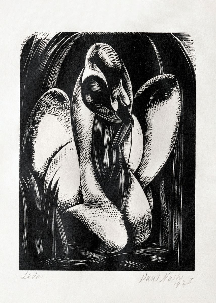 'Leda ' Poster, picture, metal print, paint by anamaria tudor | Displate