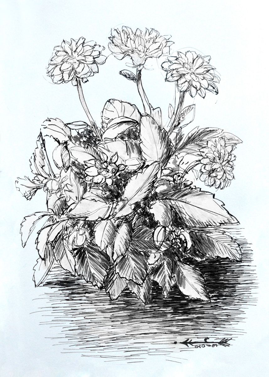 'Flowers Ink Drawing' Poster, picture, metal print, paint by Irene ...