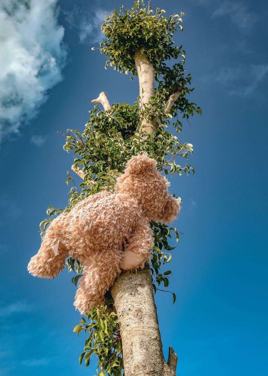 'teddy bear climbing tree' Poster, picture, metal print, paint by ...