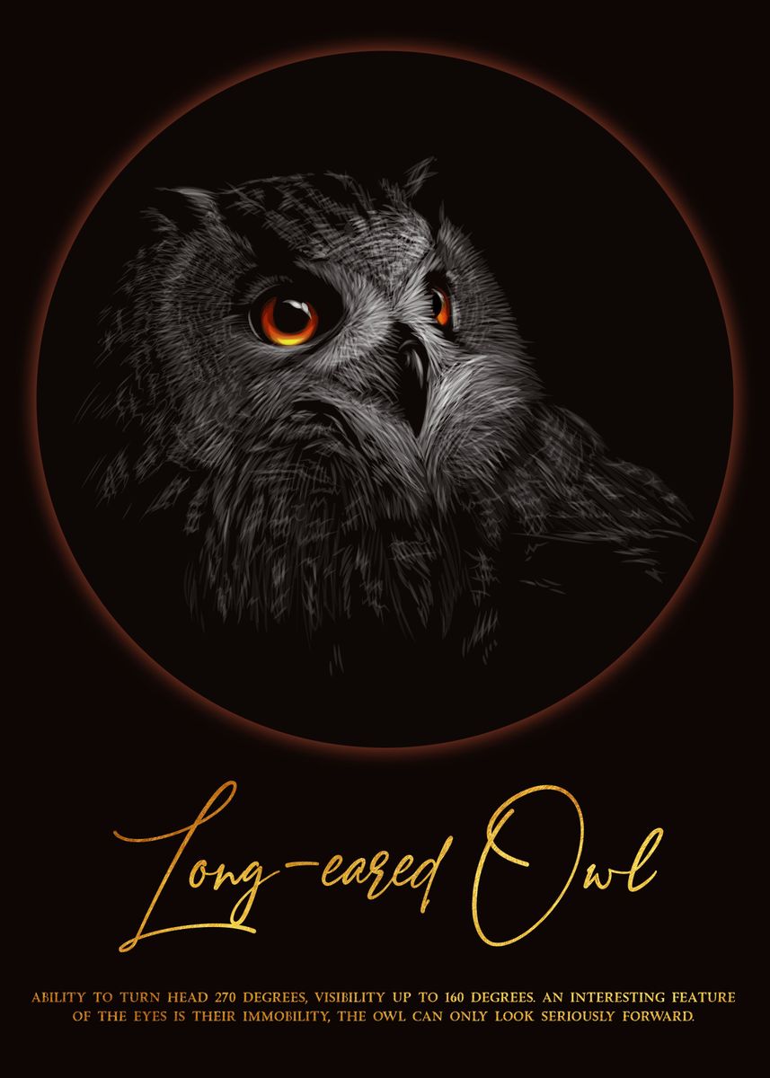'Longeared Owl' Poster, picture, metal print, paint by Plasse Pete ...