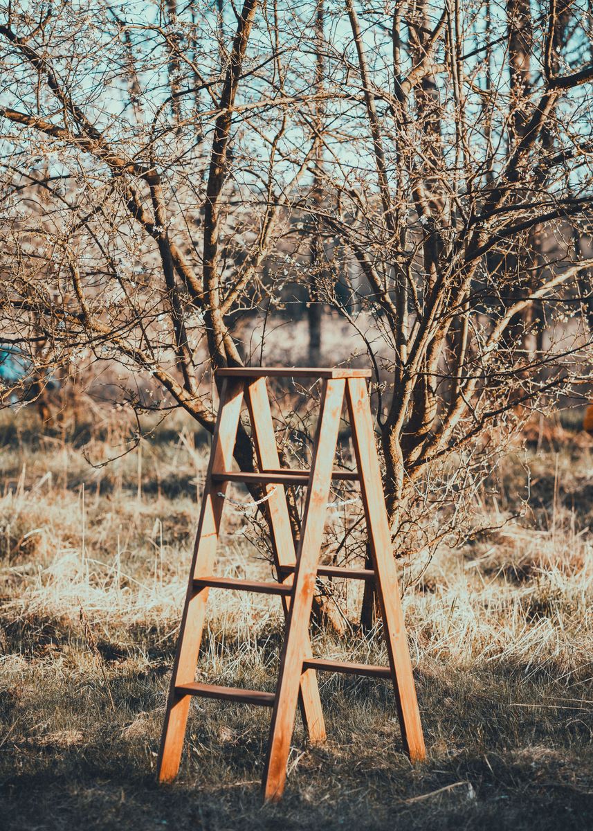 'Ladder' Poster, picture, metal print, paint by Malwina Lewinska | Displate