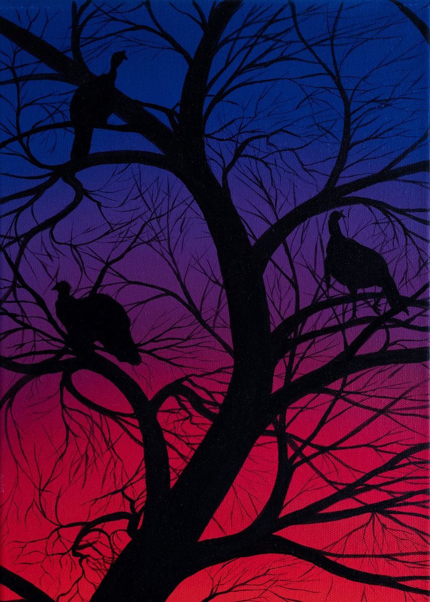 'Turkey Roost' Poster, picture, metal print, paint by Joe Whitmore ...