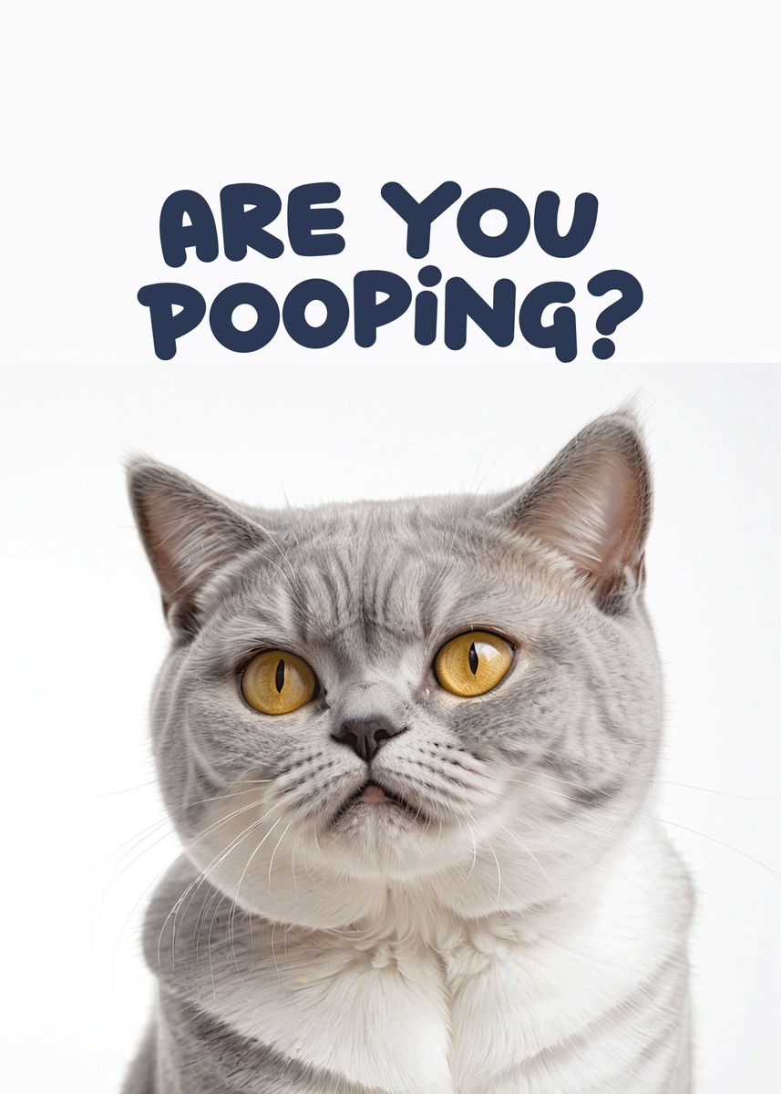 'Funny cat toilet ' Poster, picture, metal print, paint by Ji wong ...
