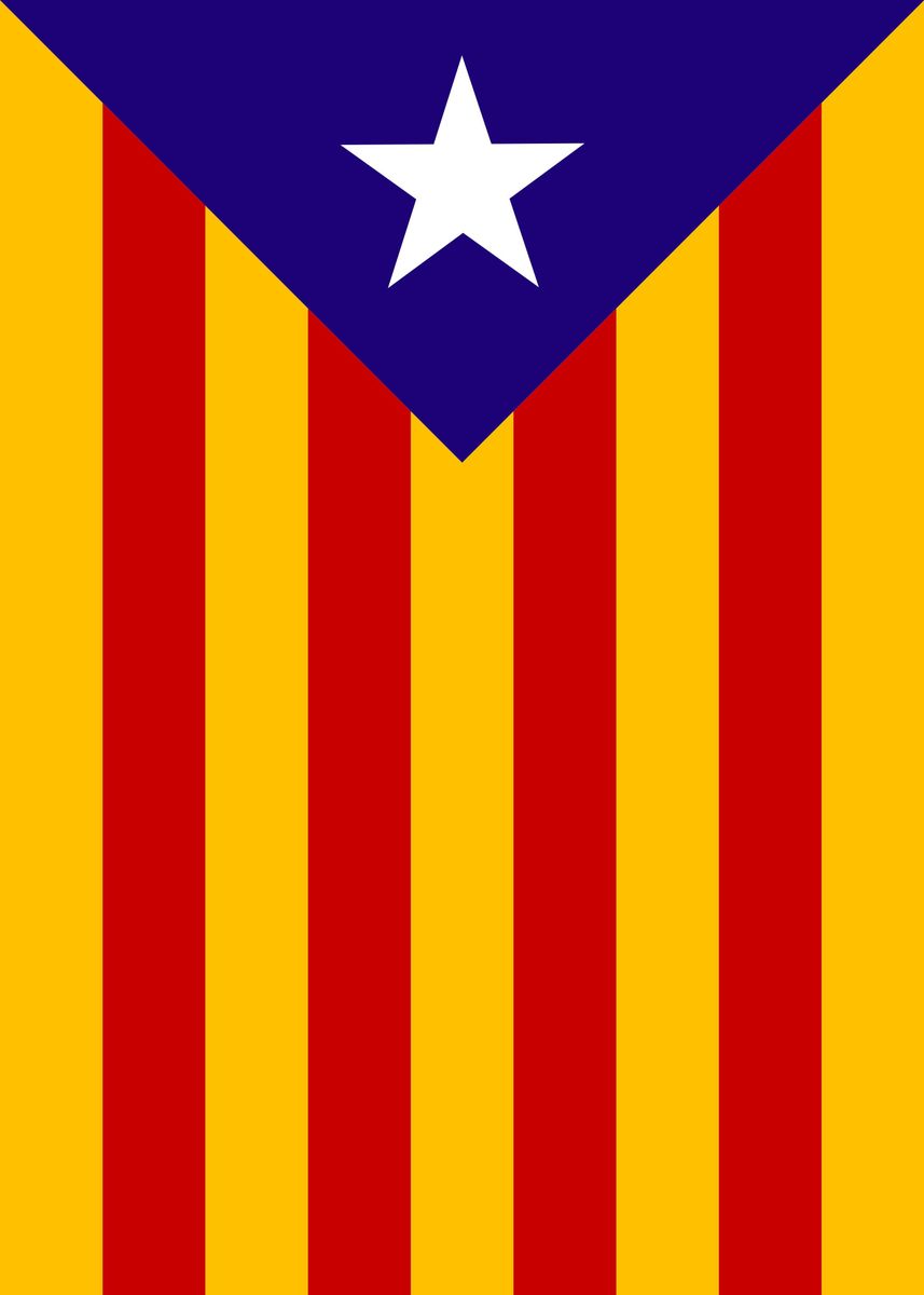 'The Estelada' Poster, picture, metal print, paint by Portokalis | Displate