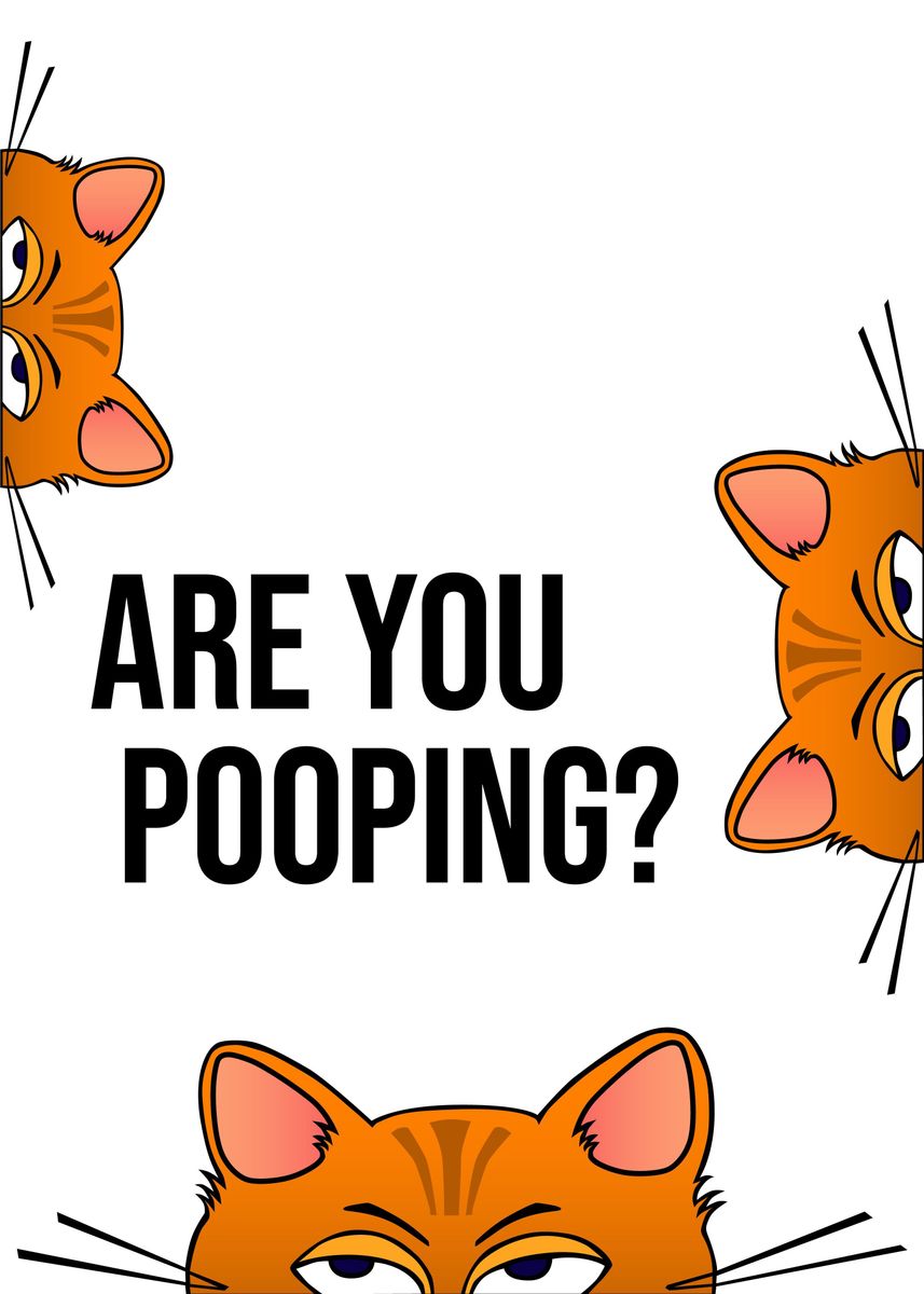 'Funny Cat Are You Pooping' Poster, picture, metal print, paint by ...