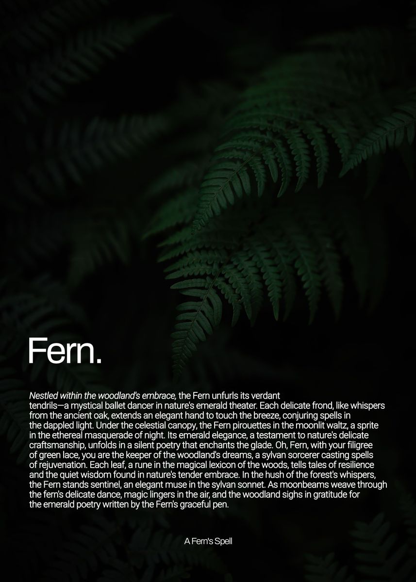 'Fern' Poster, picture, metal print, paint by Mr Penguin | Displate