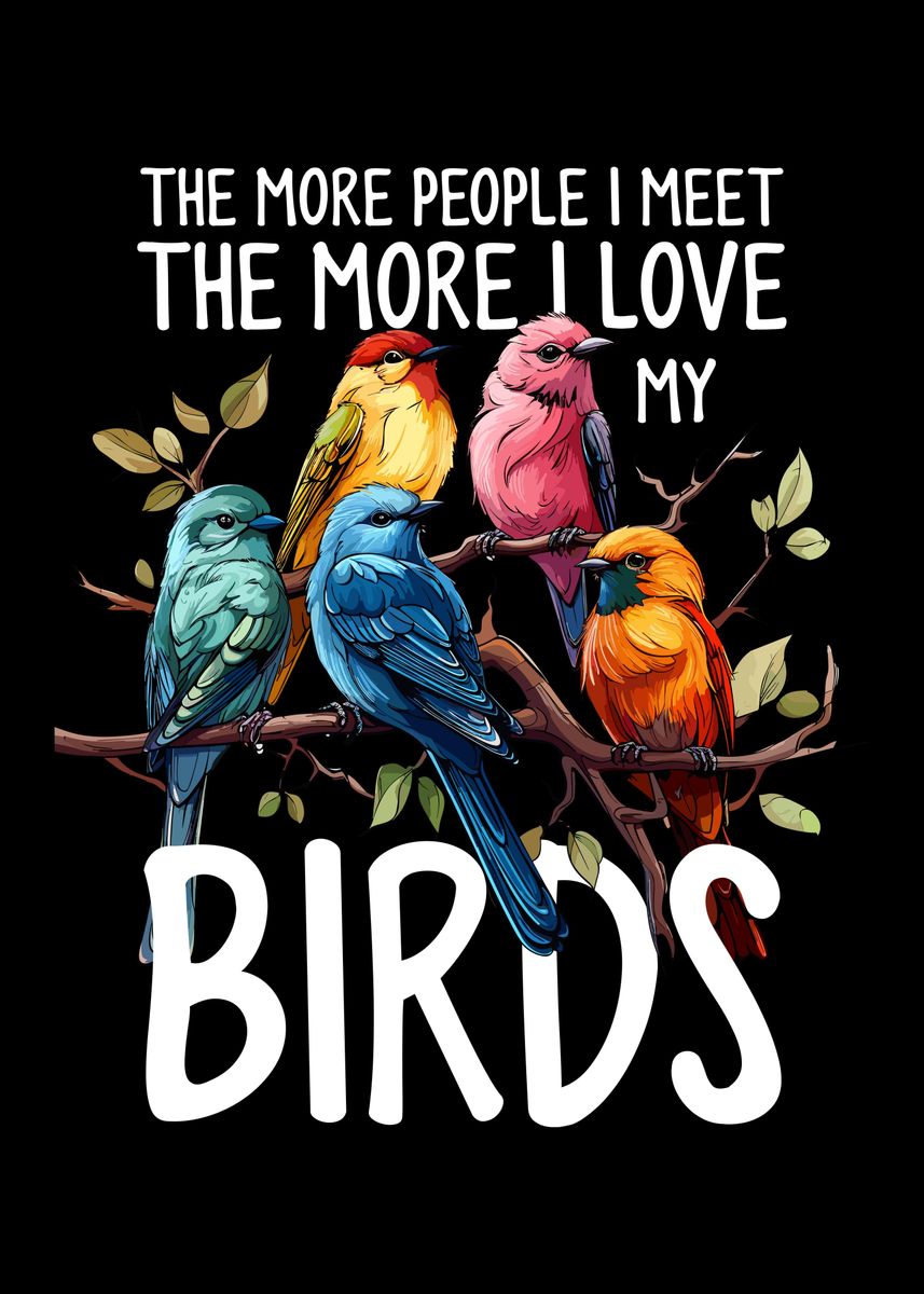 'Funny Birds Ornithology' Poster, picture, metal print, paint by ...