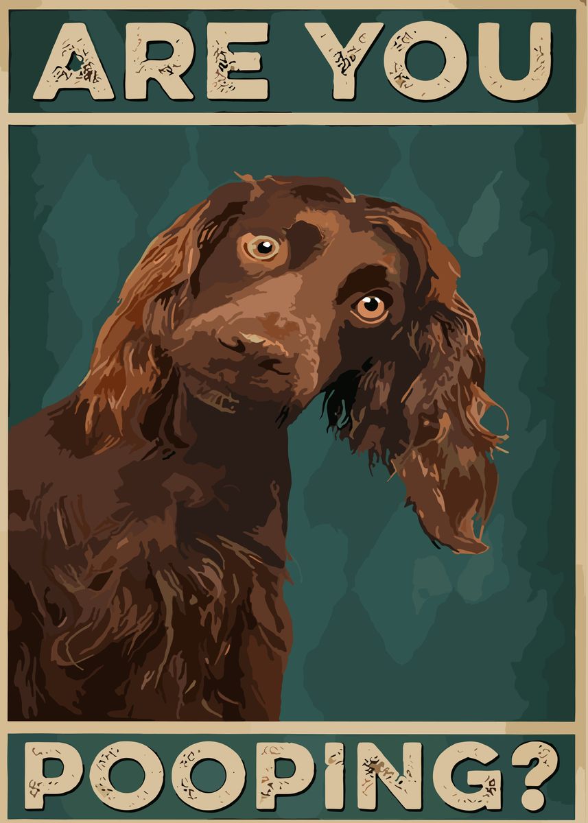 'Dog Are You Pooping Funny' Poster, picture, metal print, paint by PRAM ...