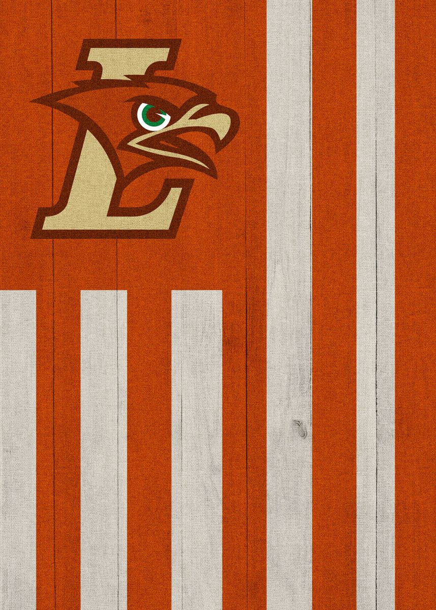 'Lehigh Mountain Hawks Flag' Poster, picture, metal print, paint by ...