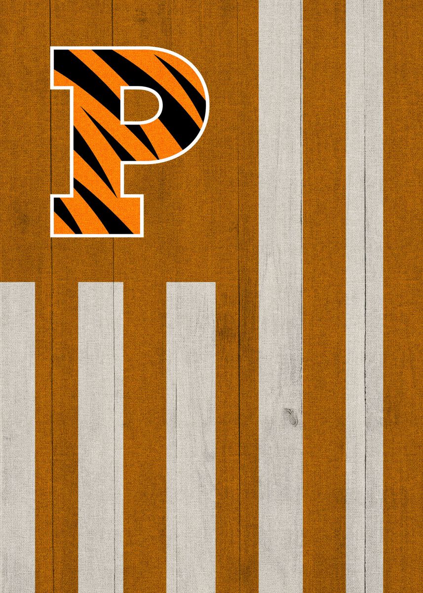 'Princeton Tigers Flag' Poster, picture, metal print, paint by Jamie ...