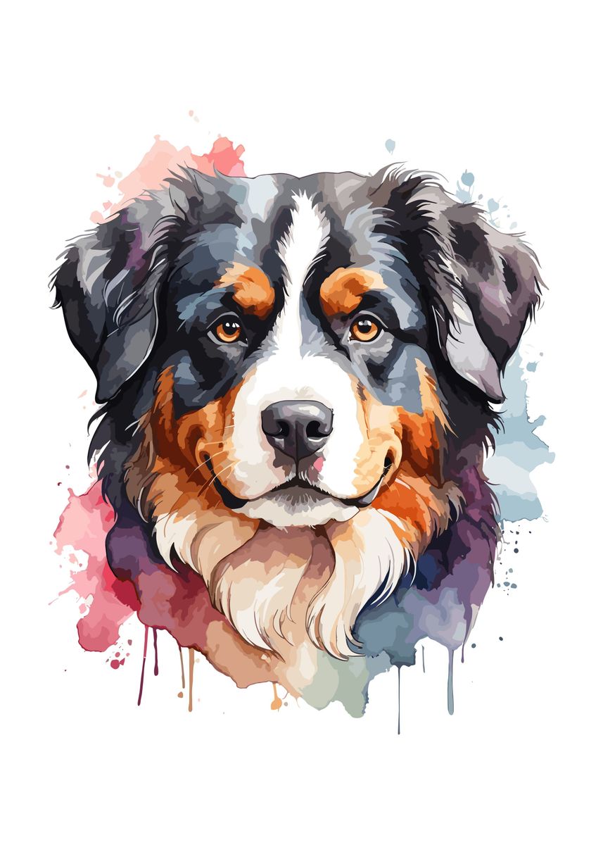'Bernese Mountain Dog' Poster, picture, metal print, paint by Jaman ...