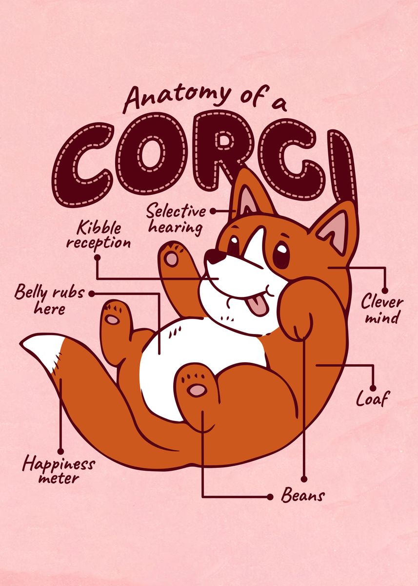 'Corgi Anatomy' Poster, picture, metal print, paint by ArtNinja | Displate