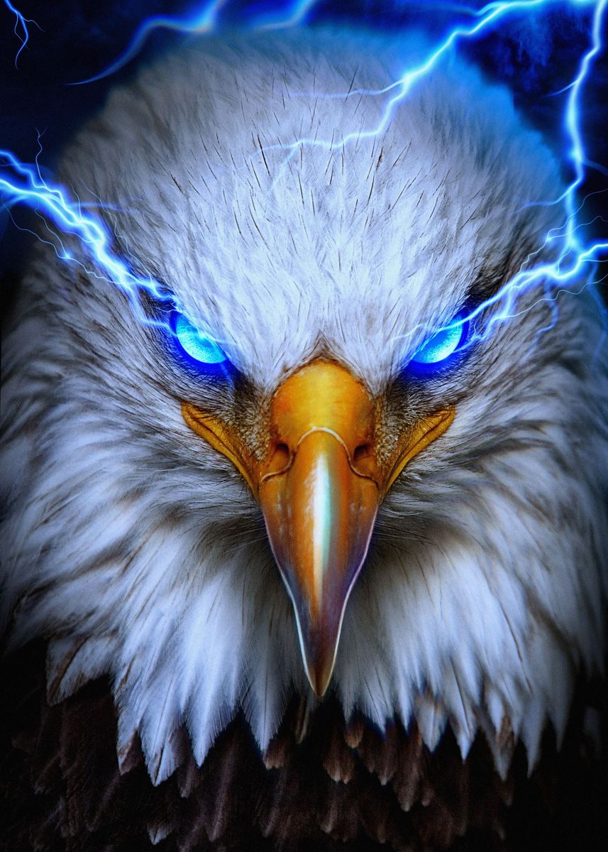 'Eagle' Poster, picture, metal print, paint by P U F F Y | Displate