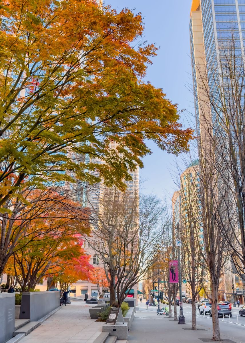 'Seattle in Autumn' Poster, picture, metal print, paint by Jonathan ...