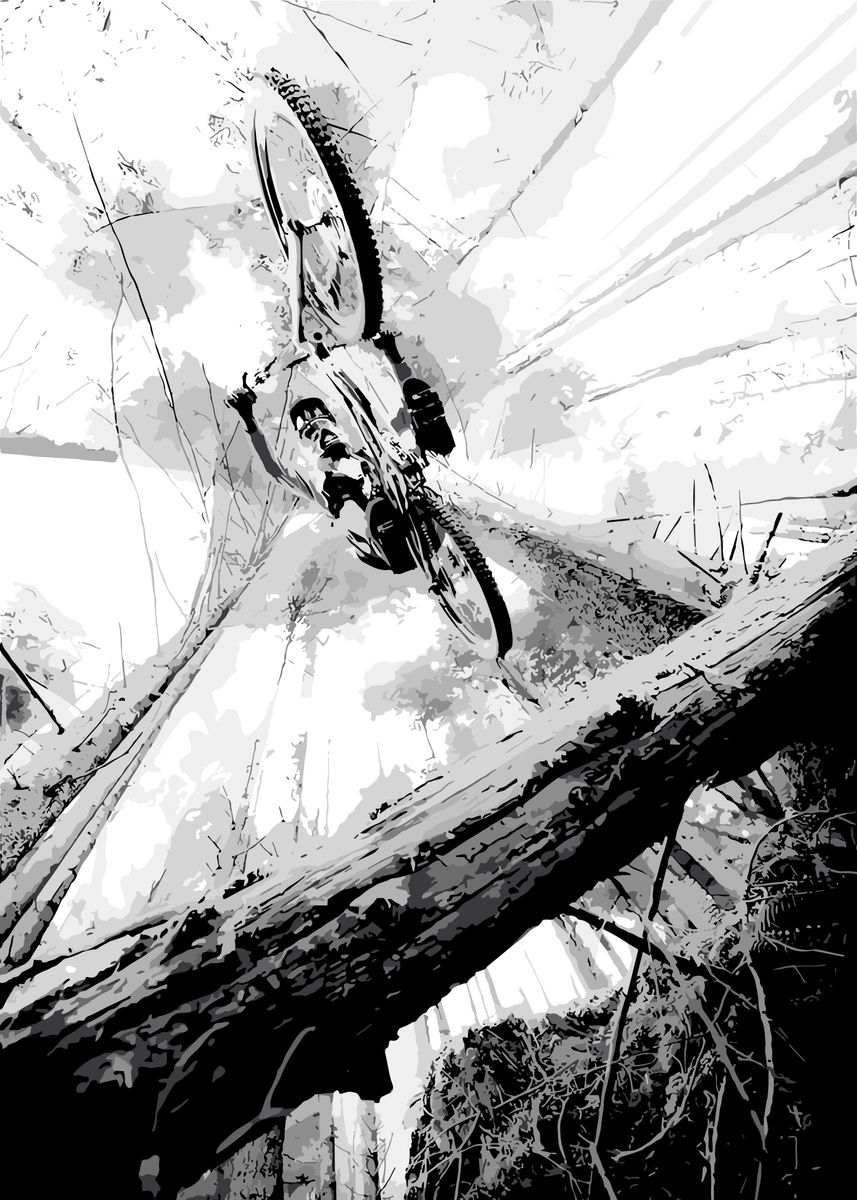 'downhill' Poster, picture, metal print, paint by Black And White Art ...