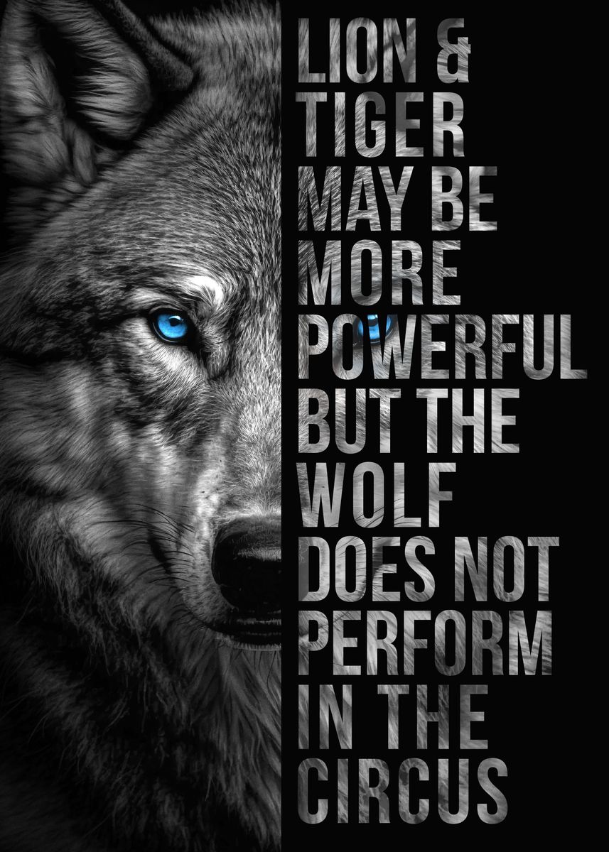 'Wolf Animal Motivational' Poster, picture, metal print, paint by ...