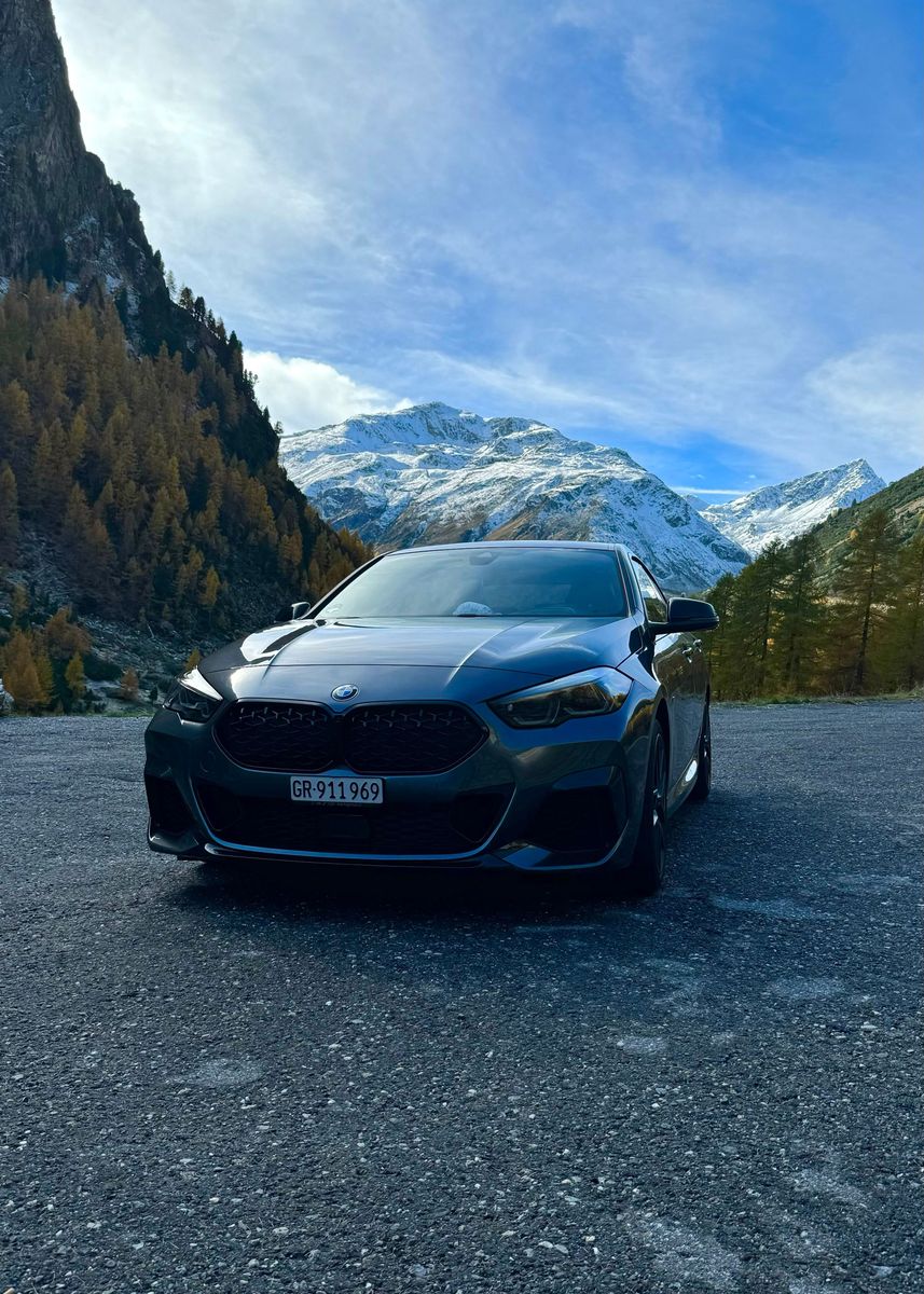'BMW M235i ' Poster, picture, metal print, paint by Arthtiha ...