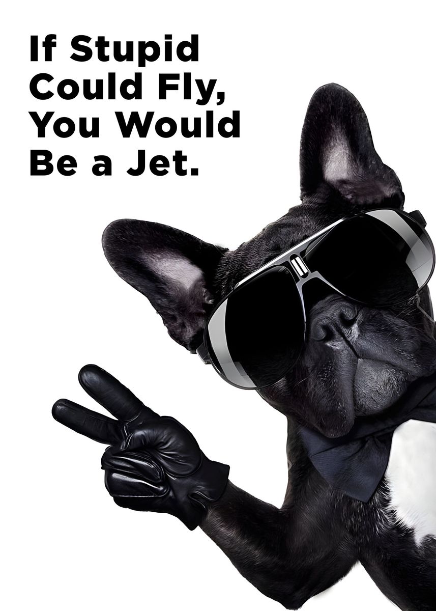 'Flying Stupid' Poster, picture, metal print, paint by Lucky Star ...